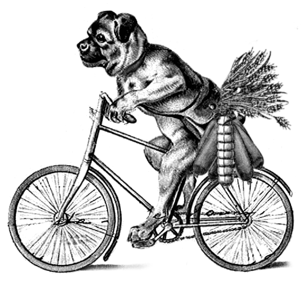 Home - The Queensberry Hotel